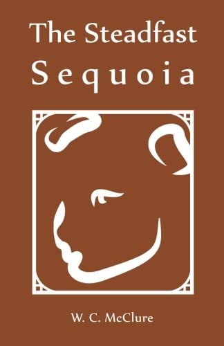 Interview with Zapier CEO on Sequoia and Steadfast Financial's January ...