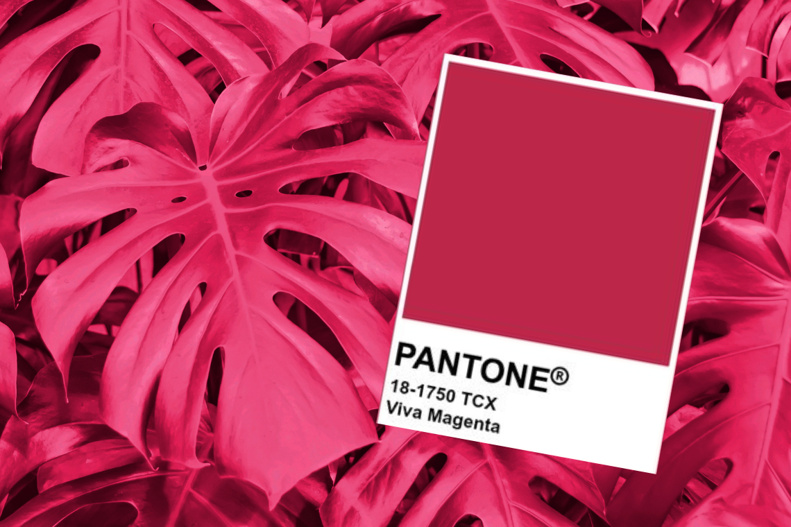 The Power of Magenta: How This Color Impacts Your Mood and Emotions ...
