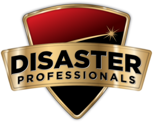 Restoring Your Home After A Disaster: The Importance Of Professional ...