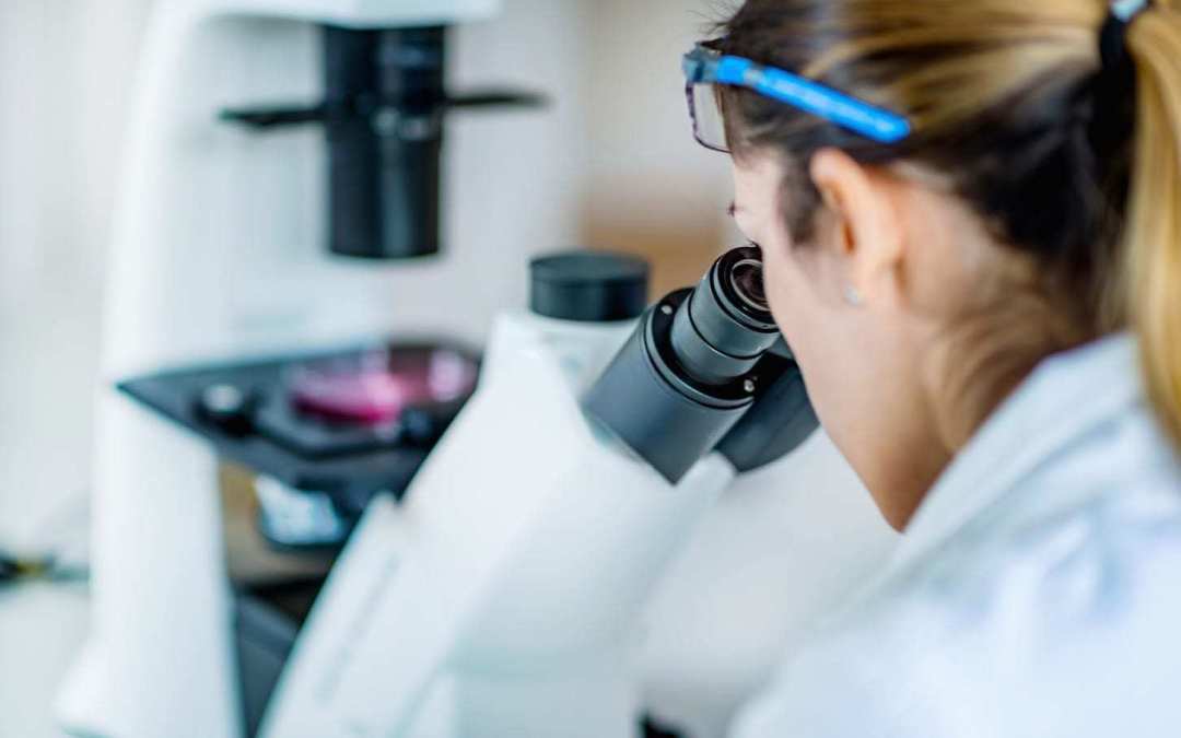 5 Must-Know Benefits of Using an Incubator - Manometcurrent