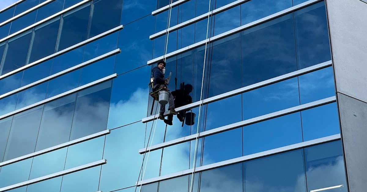 High-Rise Window Cleaning: A Glimpse into the Vertiginous World
